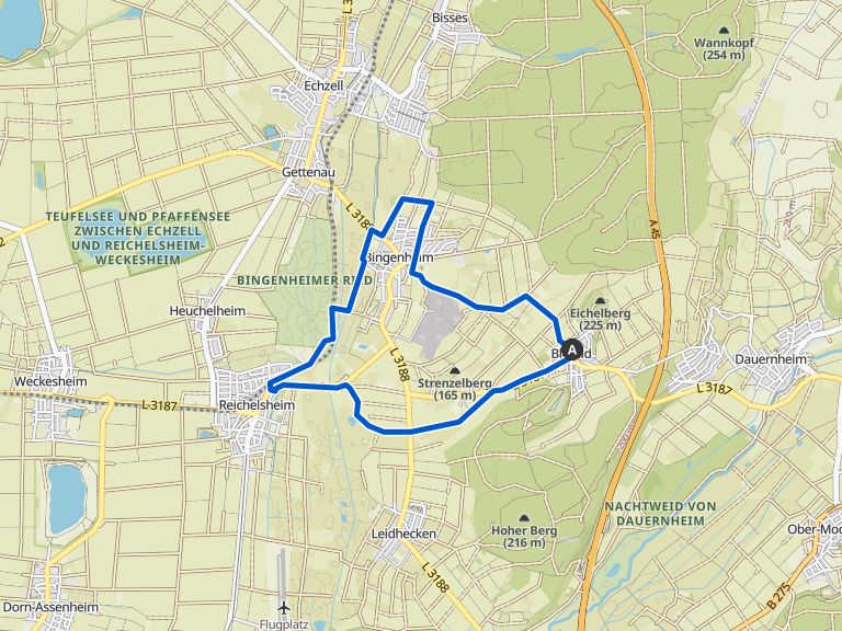 Bingenheimer Ried bei bestem Wetter ☀️☀️☀️ | Wanderung | Komoot